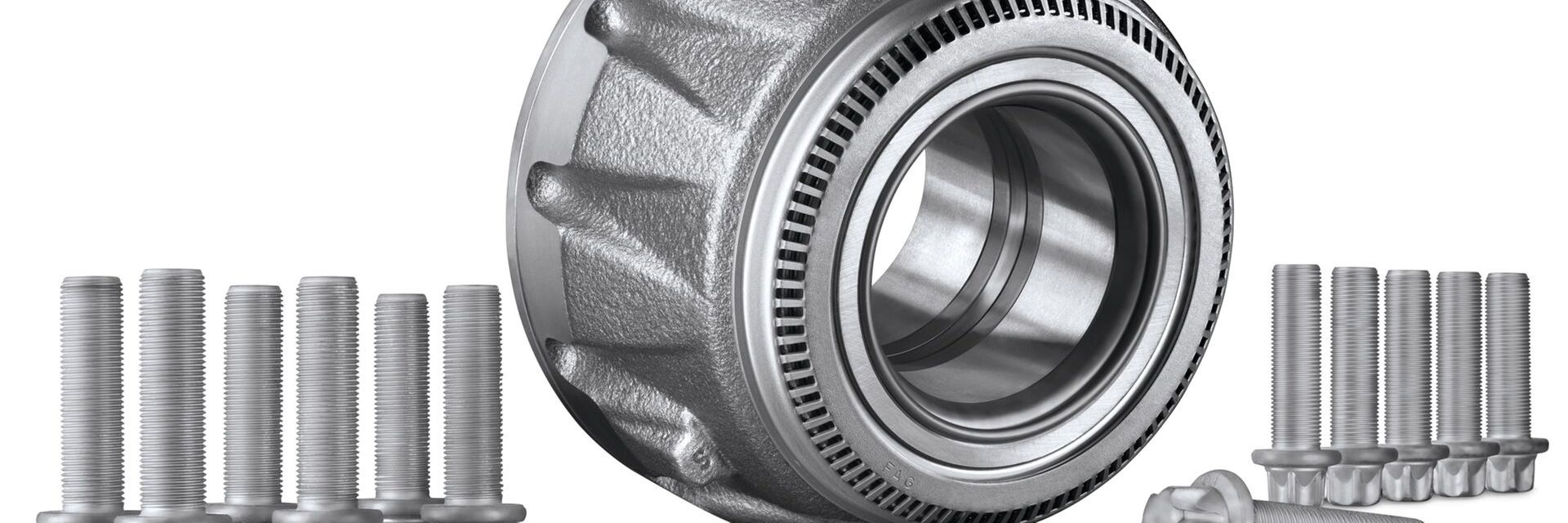 FAG Truck Axle Module